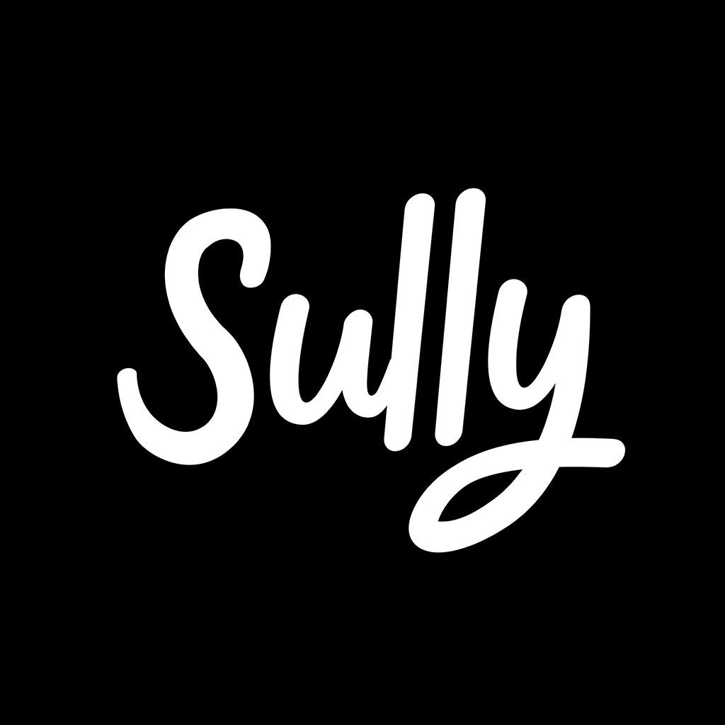 Sully_Skylines - Paradox Mods